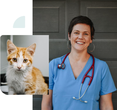 Veterinarian in Grandview | Vet Near You | Grandview Animal Hospital